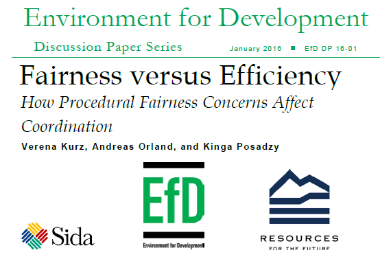 Fairness versus Efficiency: How Procedural Fairness Concerns Affect ...